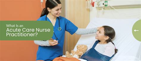What Is A Acute Care Nurse Practitioner Acute Care Nurse Practitioner Acnp