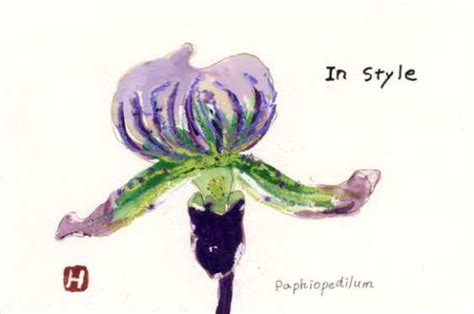 Paphiopedilum