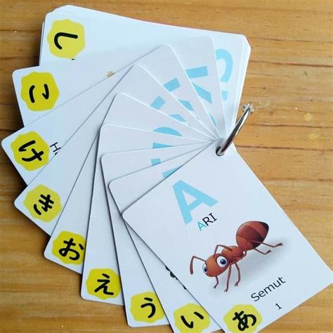 Jual Paket Flashcard Hiragana Dan Katakana Shopee Indonesia