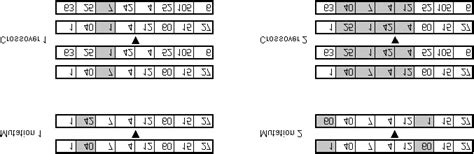 Some Of The Genetic Operators Used In The Analysis Download