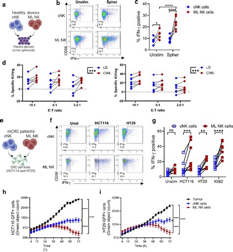 Figure 4 From Memory Like Differentiation Enhances Nk Cell Responses