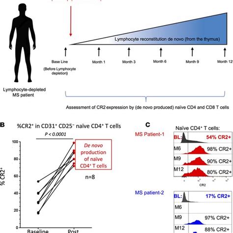 Higher Complement Receptor 2 Cr2 Expression By Human Naive Cd4 T