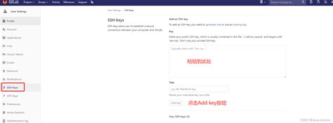 Gitlab添加ssh公钥gitlab添加公钥 Csdn博客