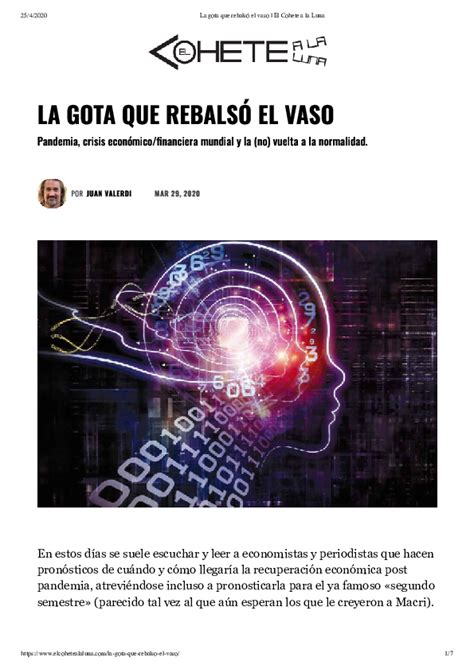 Pdf La Gota Que Rebalsó El Vaso