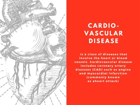 Widowmaker Heart Attack Facts Healing Heart Disease Naturally Hhdn