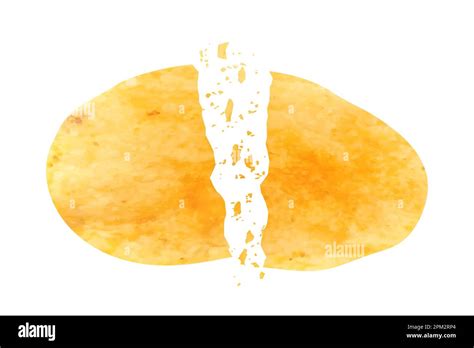 Cracked And Broken Potato Chips With Crumbs Realistic Vector Crispy