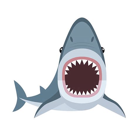 660 Great White Shark Teeth Stock Illustrations Royalty Free Vector