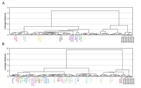 Hierarchical Cluster Analysis Hca Based On Gene Expression Data A