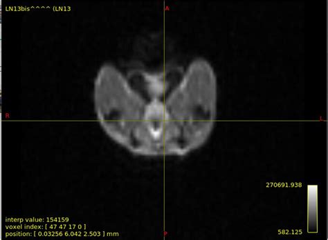 using sct functions on mouse data sct