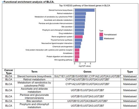 Help Sexannodb Genome Wide Sex And Gender Annotation Database In Cancer