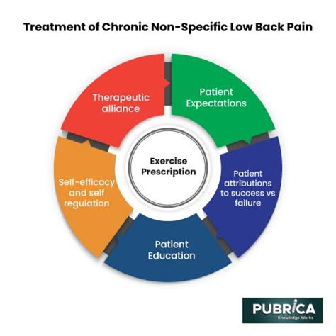 Treatment Of Chronic Non Specific Low Back Pain Medium
