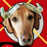 왕초보 파이썬 장고 Python Django 쇼핑몰 따라 만들기 샵투스쿨