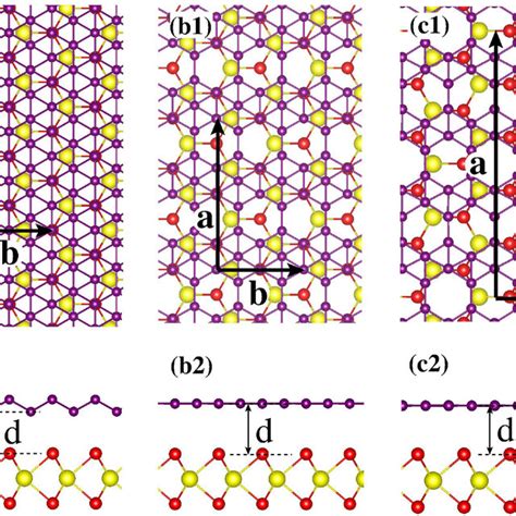 Structural Models Of S0 Tmdc Top View A1 And Side View A2 S1 Tmdc