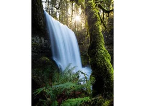 Thomas Hurrell Obituary 1987 2025 Ashland Or Kdrv