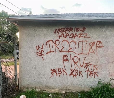 Bompton Tree Top Piru Rcaliconnection