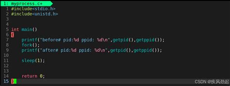 Linux进程控制 Csdn博客