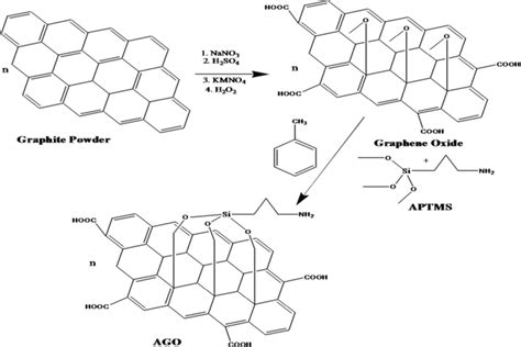 Preparation Of Amine Functionalized Graphene Oxide Ago From Graphite