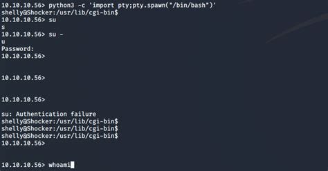 Hack The Box Shocker Walkthrough StefLan S Security Blog