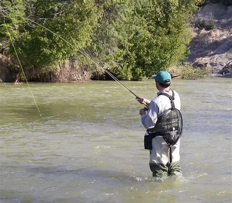 5 Best Trout Nets And A Guides Advice On How To Attach Them