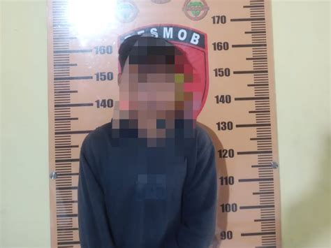 Demi Kebutuhan Sehari Hari Seorang Pria Di Mamuju Nekat Mencuri Editorial Com