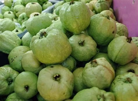 9 Manfaat Jambu Kristal Untuk Kesehatan Tak Hanya Dagingnya Tapi Juga