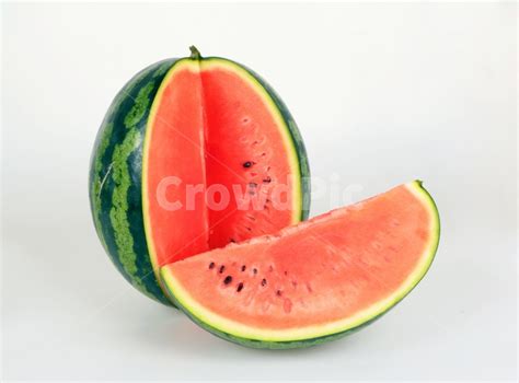 수박 멜론 과일 생과일 음식 사진이미지일러스트캘리그라피 Dawool작가