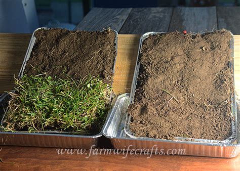 Soil Erosion Science Soil Erosion Science Experiment