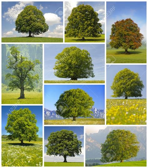 Quizzes Archive KewlQuiz