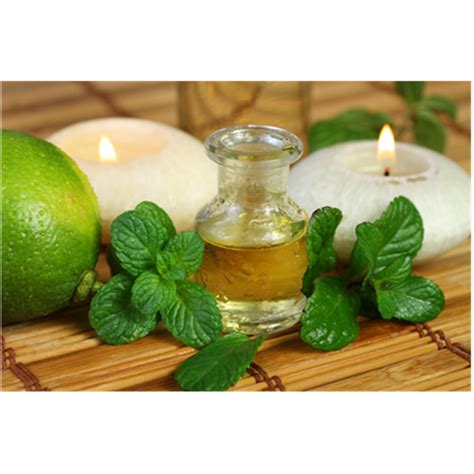Peppermint Essential Oil 100 Pure น้ำมันหอมระเหยเปปเปอร์มิ้นท์