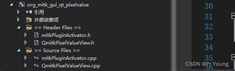 头文件header file和源文件 source file header file 和source file csdn博客