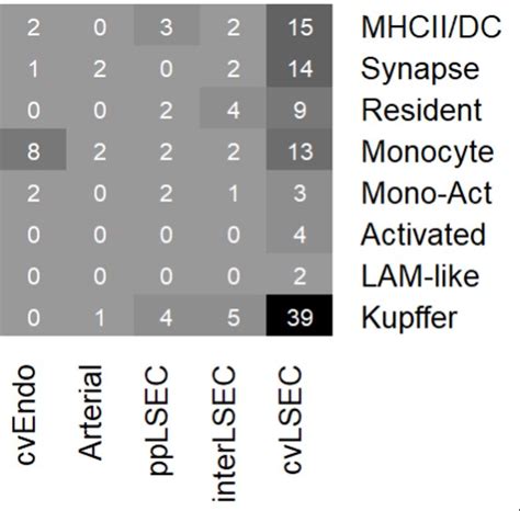 Macrophage Diversity Revealed By Expanded Healthy Liver Map A 11127