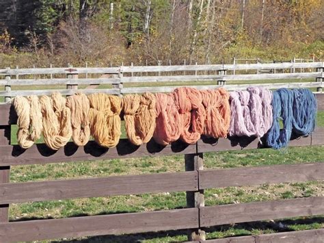 Exploring Natural Palettes Fresh Leaf Indigo Madder And Woad Spin Off