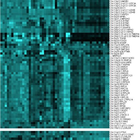 Hierarchical Clustering Of Samples From Colorectal Tumors And Normal