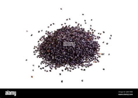 Poppy Seeds Are An Oilseed Obtained From The Opium Poppy Papaver