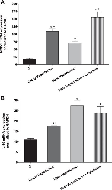 Cytokine Profiles Qrt Pcr From Representative Renal Injury Cytokines