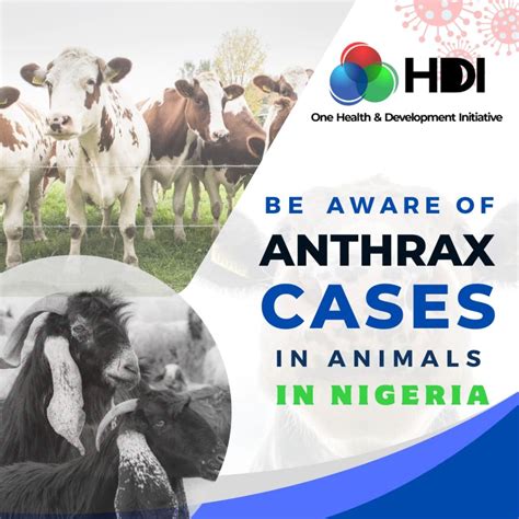 Confirmation Of An Outbreak Of Anthrax In Nigeria One Health And