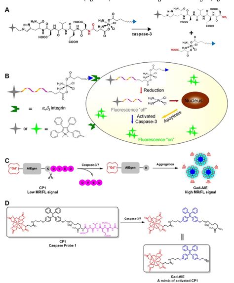 Figure 1 From Activated Molecular Probes For Enzyme Recognition And