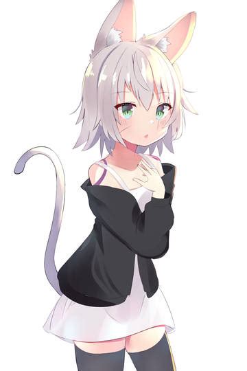 ケモ耳ジャック KURO