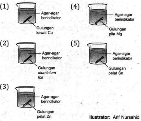 Perhatikan Gambar Percobaan Korosi Paku Besi Fe