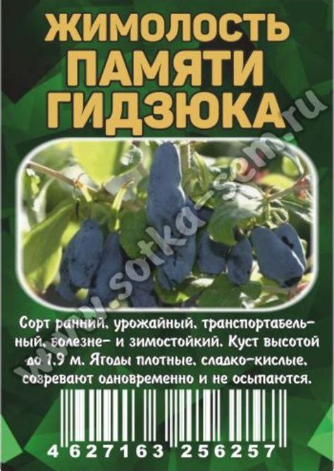 Золотая сотка алтая