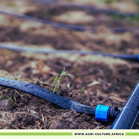 Drip Irrigation Kits Efficient Watering Solutions For Maximum Yield