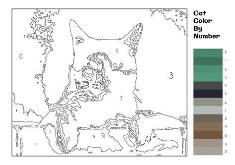 Exercise Sheets 16 Free Pdf Printables Printablee