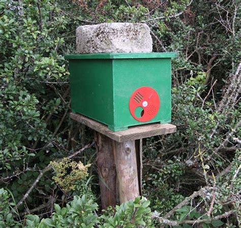 38 Diy Bee Hive Plans With Step By Step Tutorials Free