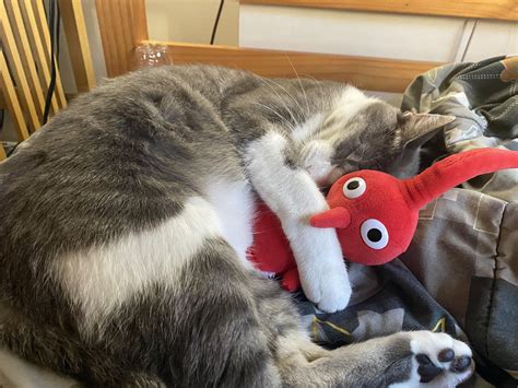 Cat Loves Pikmin Pikmin