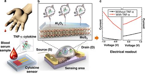 Schematic Illustration Of The Concept Of The Cytokine Sensor Download Scientific Diagram