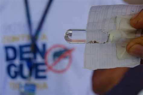 Avaré Ultrapassa A Marca De Mil Casos De Dengue Em 2024 Geral Rastro101