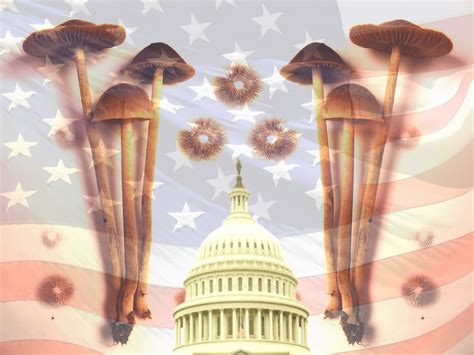 Psychedelic Decriminalization Initiatives Are In Motion Across The