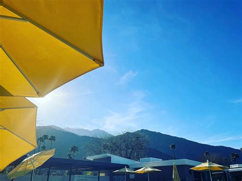 Twin Palms Resort A Gay Mens Resort Updated 2025 Prices