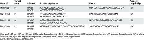 Primers And Probes Of Four Types Of Hpv For Allglo Quadruple Download Table