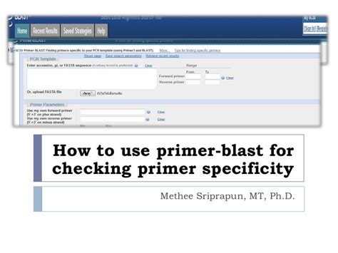 How To Use Primer Blast For Checking Primer Specificity